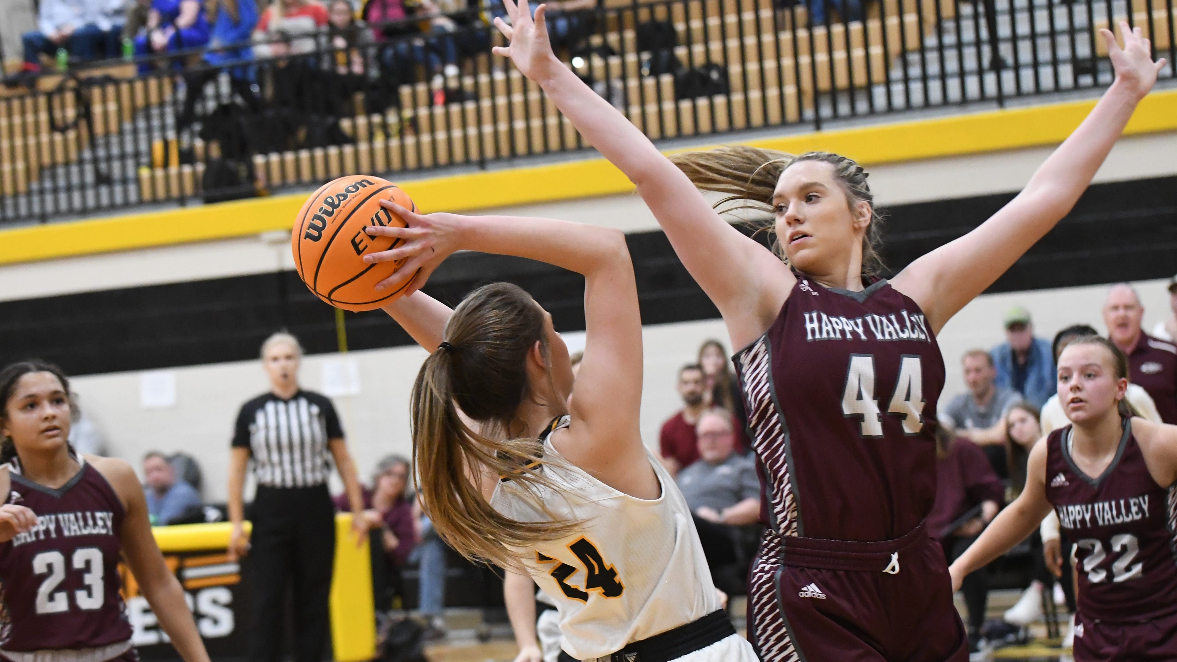 Lady Warrior Rally Comes Up Short In District 1-2A Semifinals | Carter ...