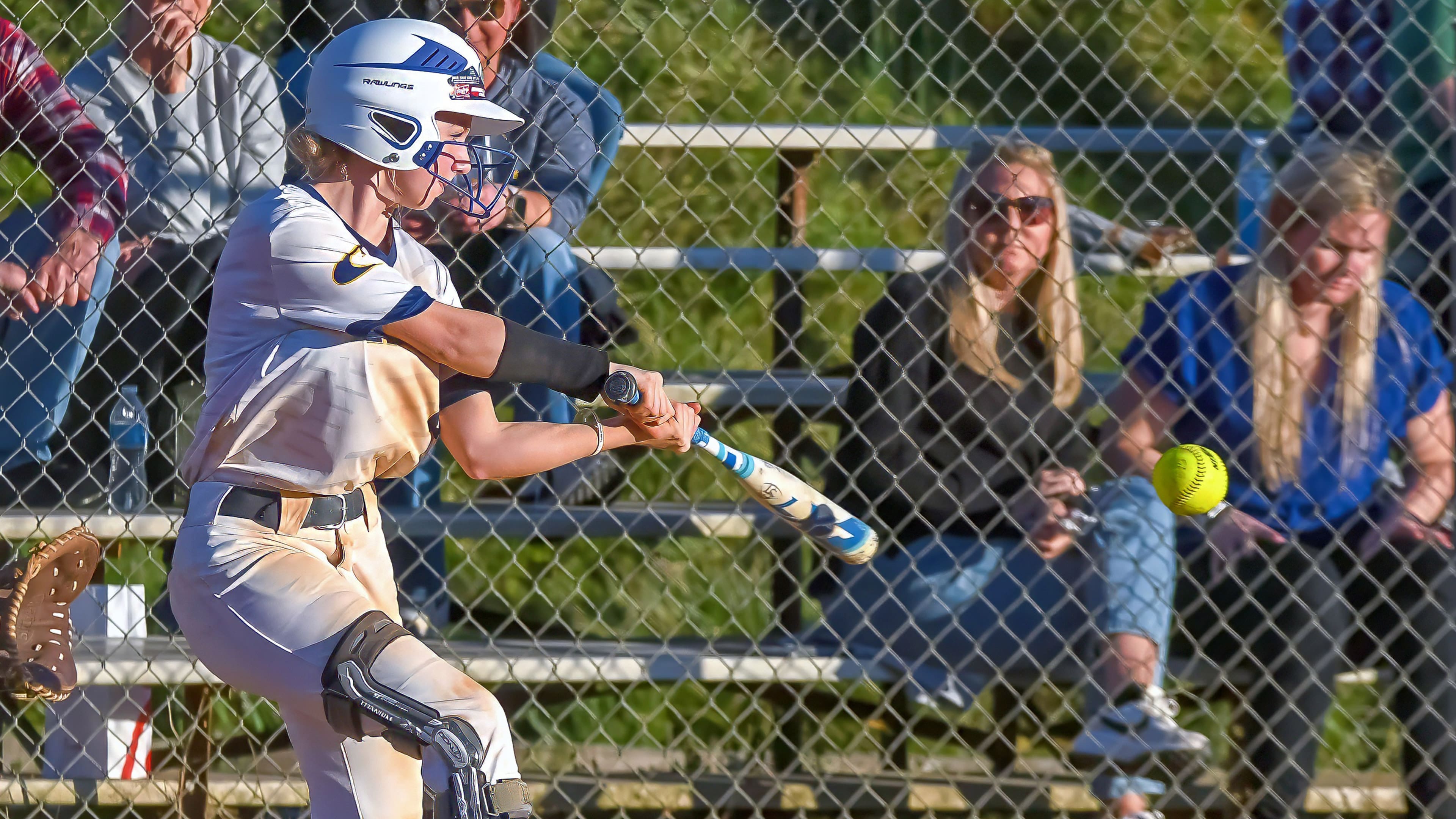Monday Round-up: Lady 'Landers Split DH With East, Lady Cyclones, Lady ...